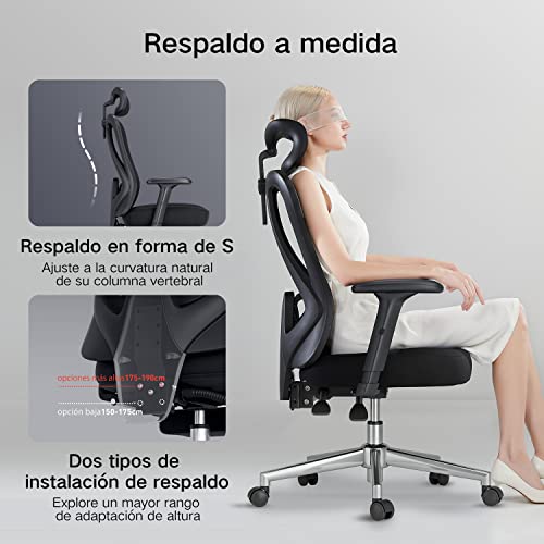 Hbada E1 Bürostuhl mit verstellbarer Kopfstütze und Lendenwirbelstütze ...